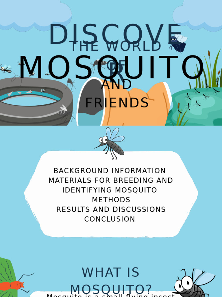 MOSQUITO Presentation | PDF | Mosquito | Pupa