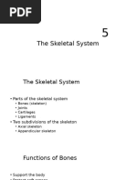 The Skeletal System Answer Key | PDF