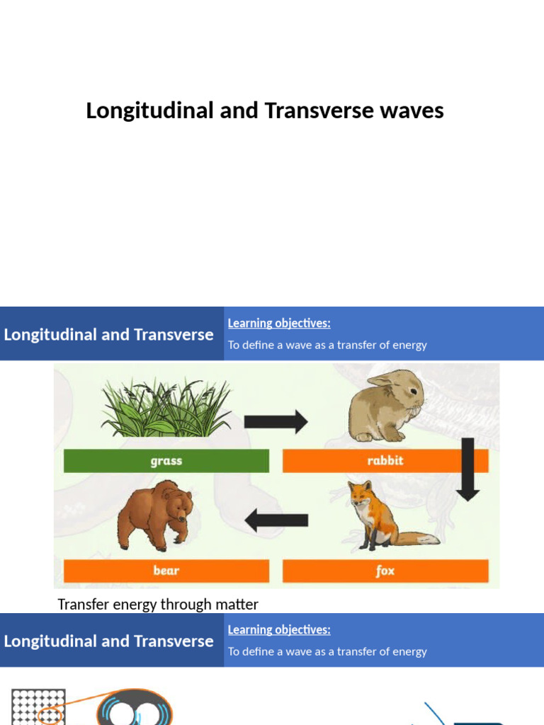 Longitudinal and Tranverse | PDF
