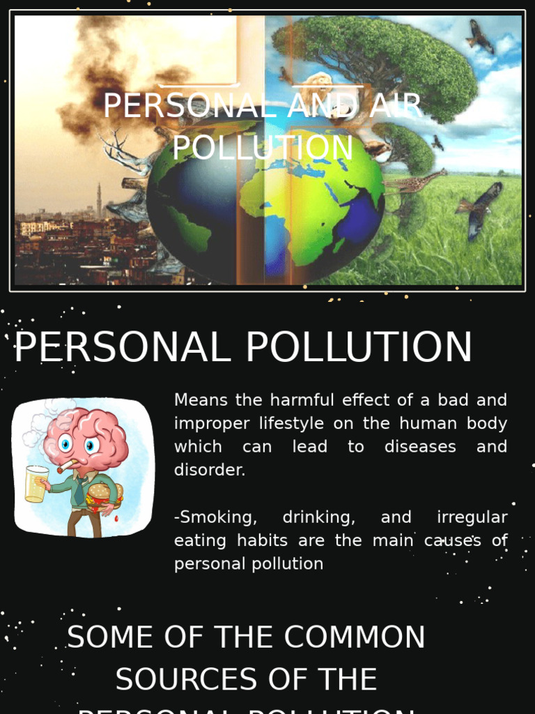 Personal and Air Pollution | PDF | Ethanol | Pollution