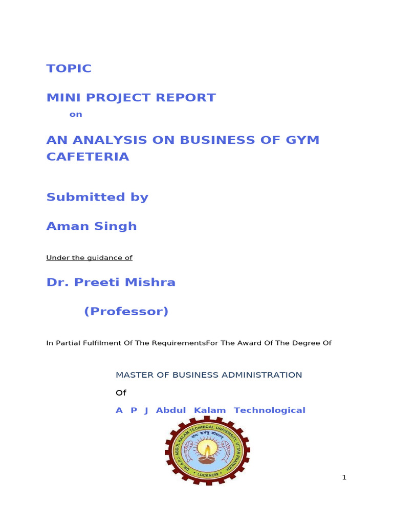 New Mini Project Report | PDF | Capital (Economics) | Prices