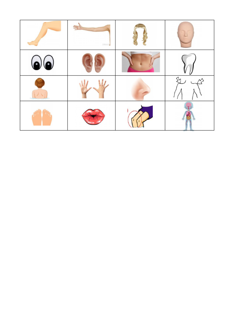 Body Bingo Pdf