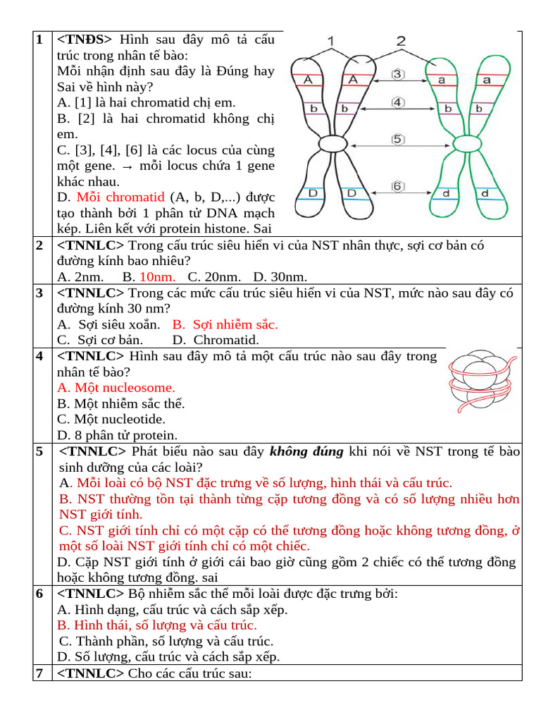 BÀI TẬP CƠ BẢN NST - ĐA | PDF