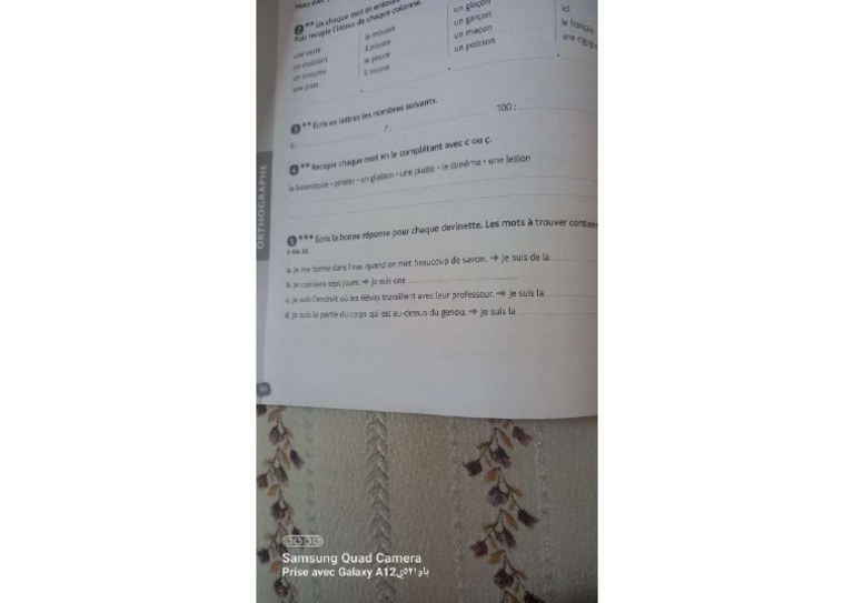 Croque Feuilles 2 | PDF