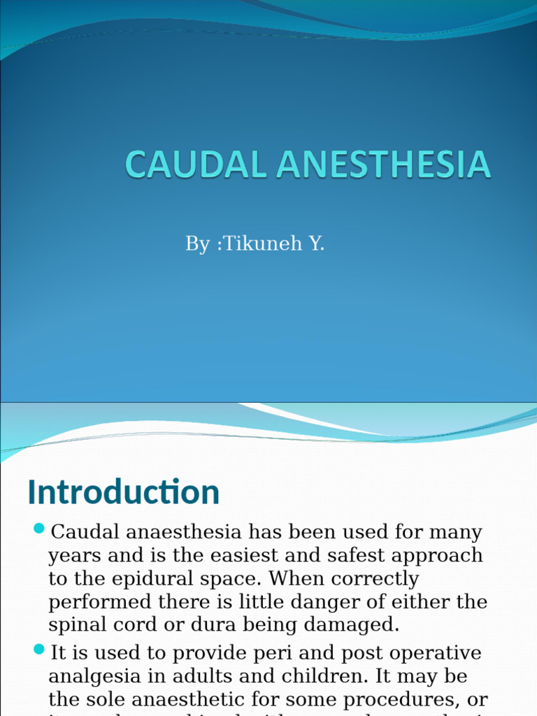 Caudal Anesthesia | PDF | Vertebra | Anesthesia