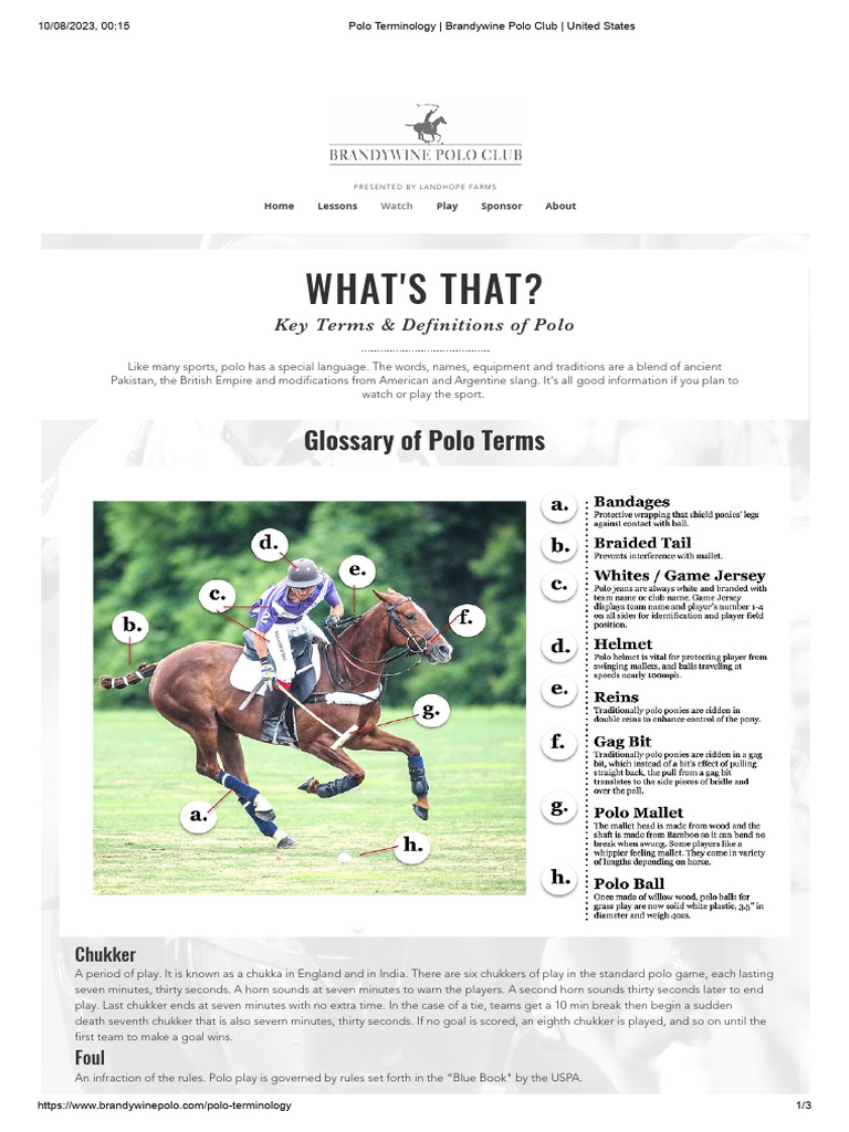 Polo Terms and Definitions Guide | PDF | Sports Rules And Regulations ...
