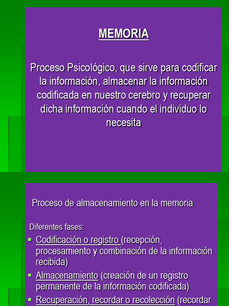 Memoria. Power Point. de Vega | PDF | Memoria | Cerebro