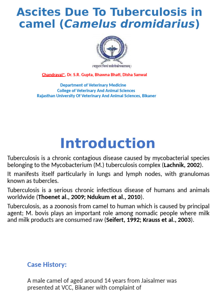 Ascites Due To Tuberculosis | PDF | Peritoneum | Tuberculosis