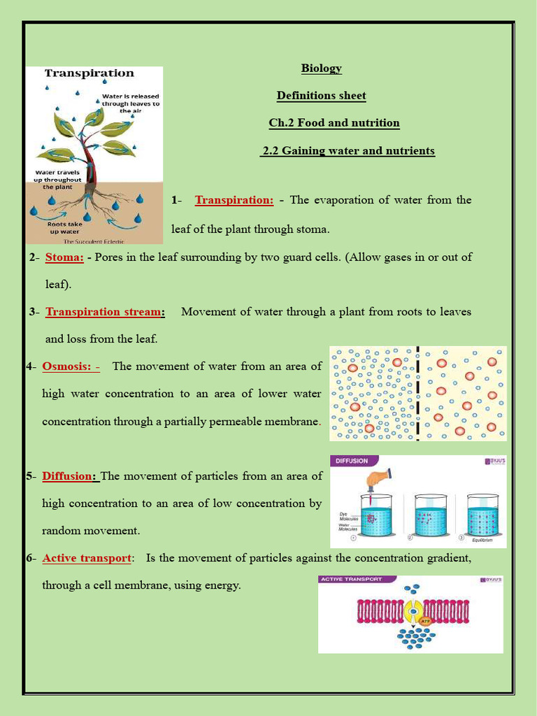 Biology Ch.2: Water & Nutrient Terms | PDF