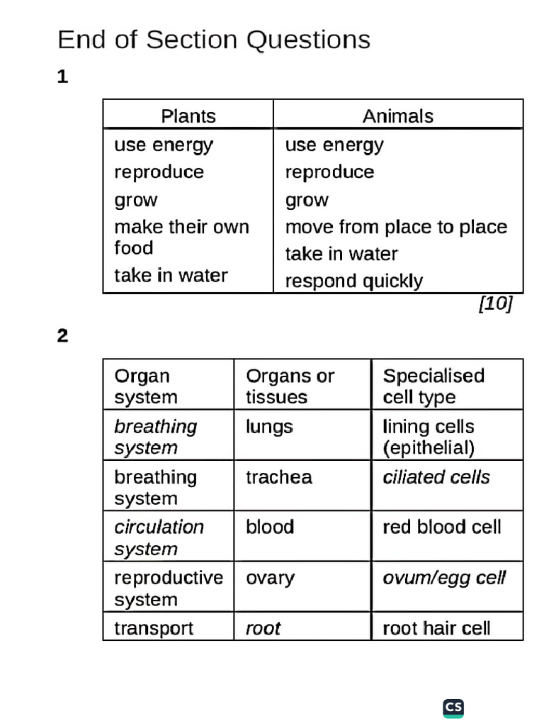 End_of_chapter_1_Answers | PDF