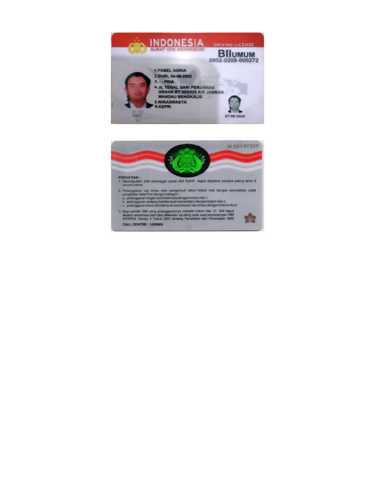 Sim | PDF Sim | PDF