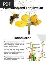 Flower Adaptations for Pollination Study | PDF | Flowers | Pollination