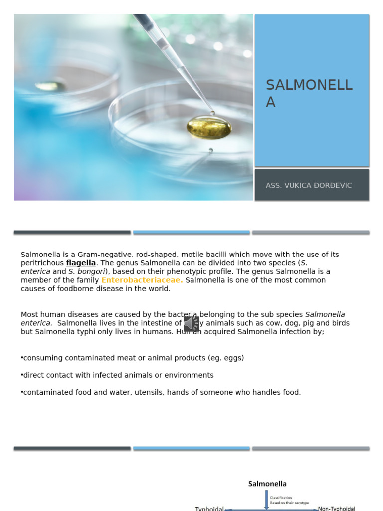 Salmonella, Shigella2 | PDF | Salmonella | Serotype