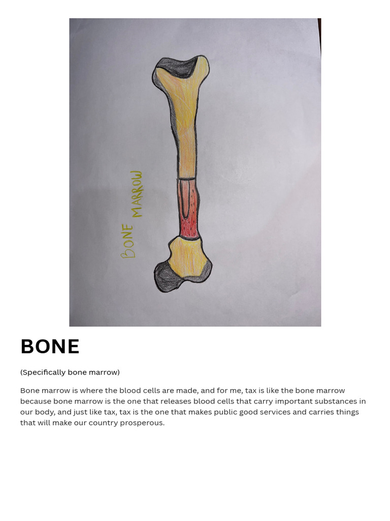 Bone | PDF