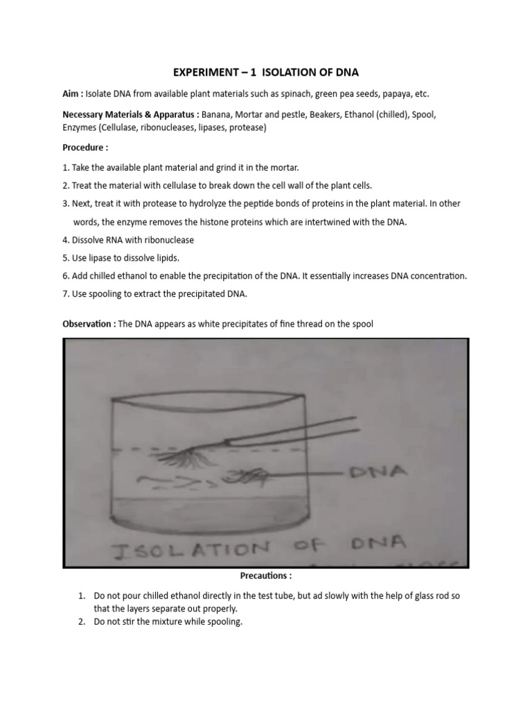 12the CBSE Bio Lab Exp | PDF | Flowers | Homology (Biology)