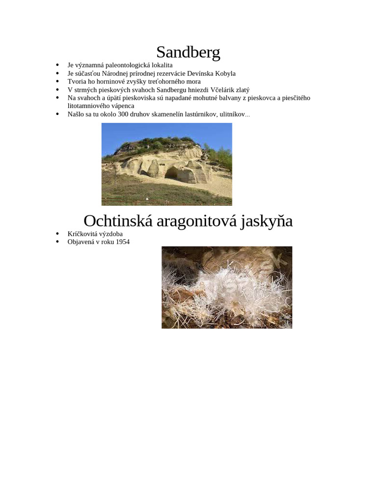Sandberg | PDF