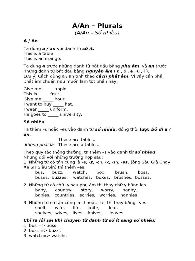 A1 - unit 4 - a an plurals | PDF