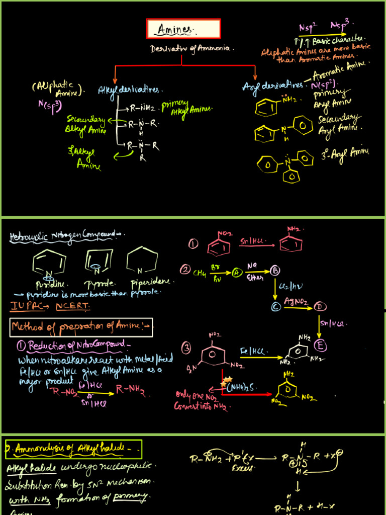 Amine Correct Notes | PDF