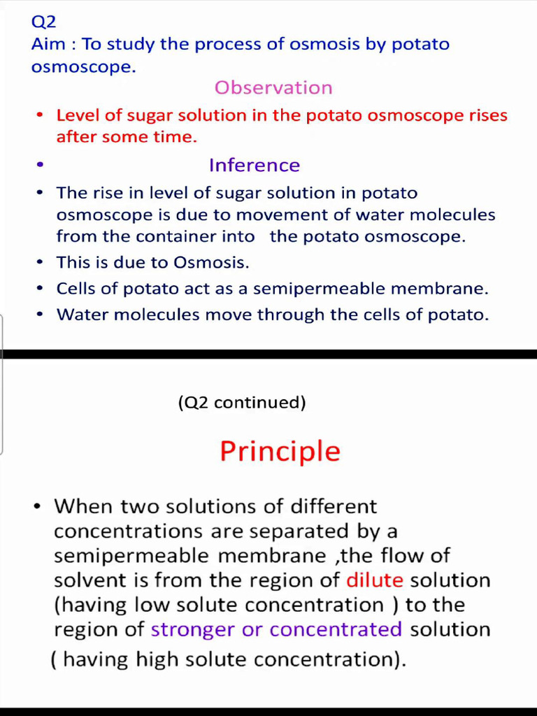 Botany Practical Set 2 | PDF | Osmosis | Plants