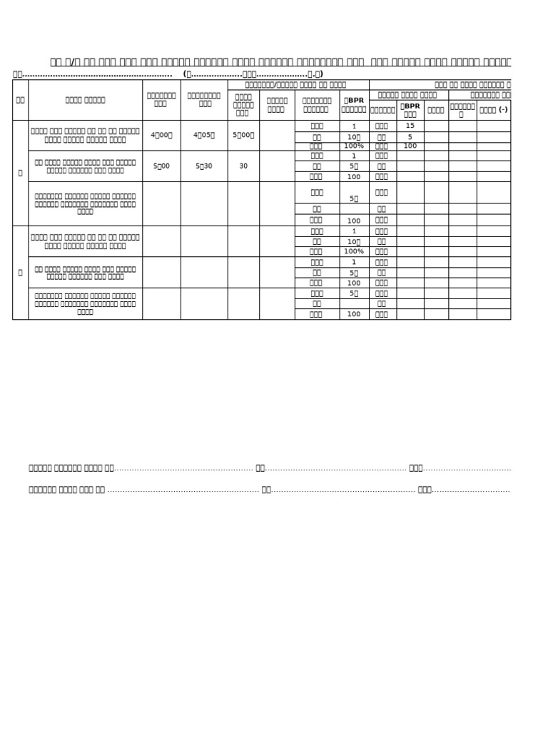 Dayily Report New11 | PDF
