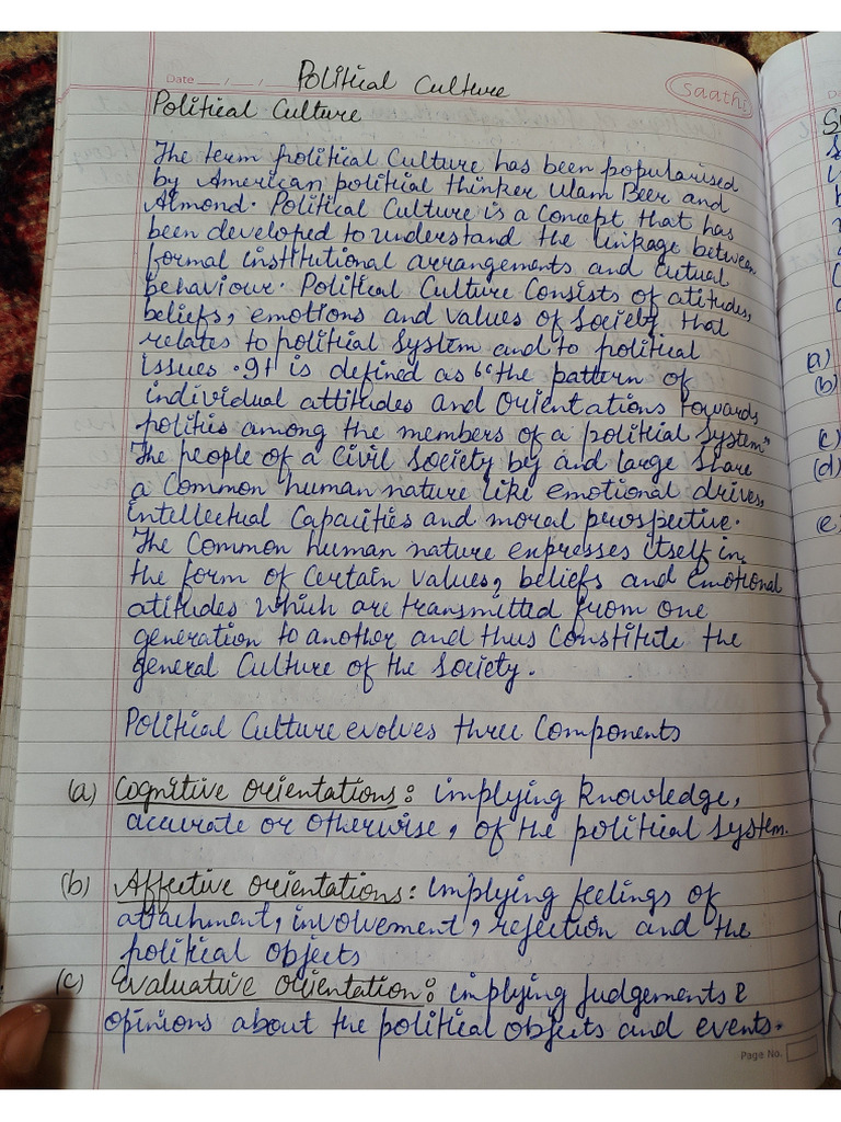 Political Culture and Political Socialization | PDF