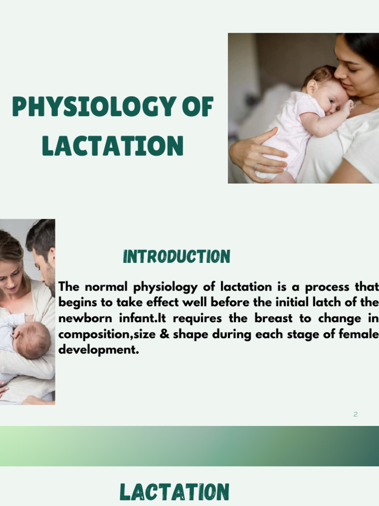 Physiology of Lactation 241210 - 182627 - 0000 | PDF | Lactation | Breast Milk