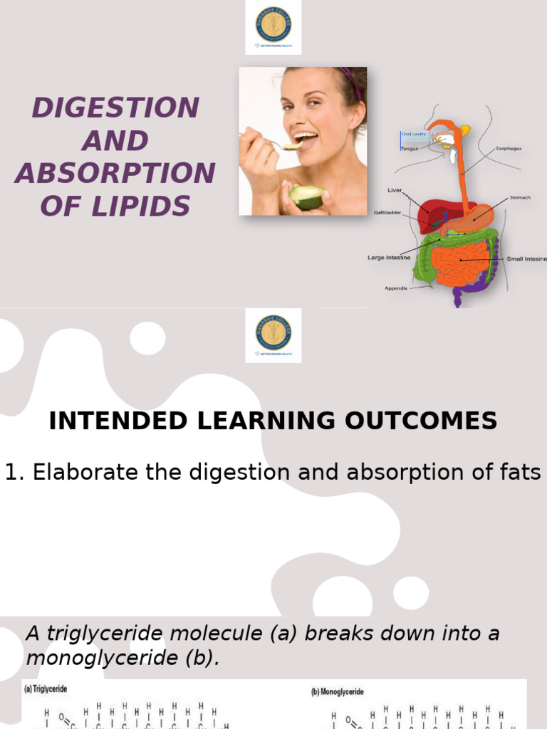 Lesson 3 ENDTERM Digestion and Absorption of Lipids | PDF | Digestion ...