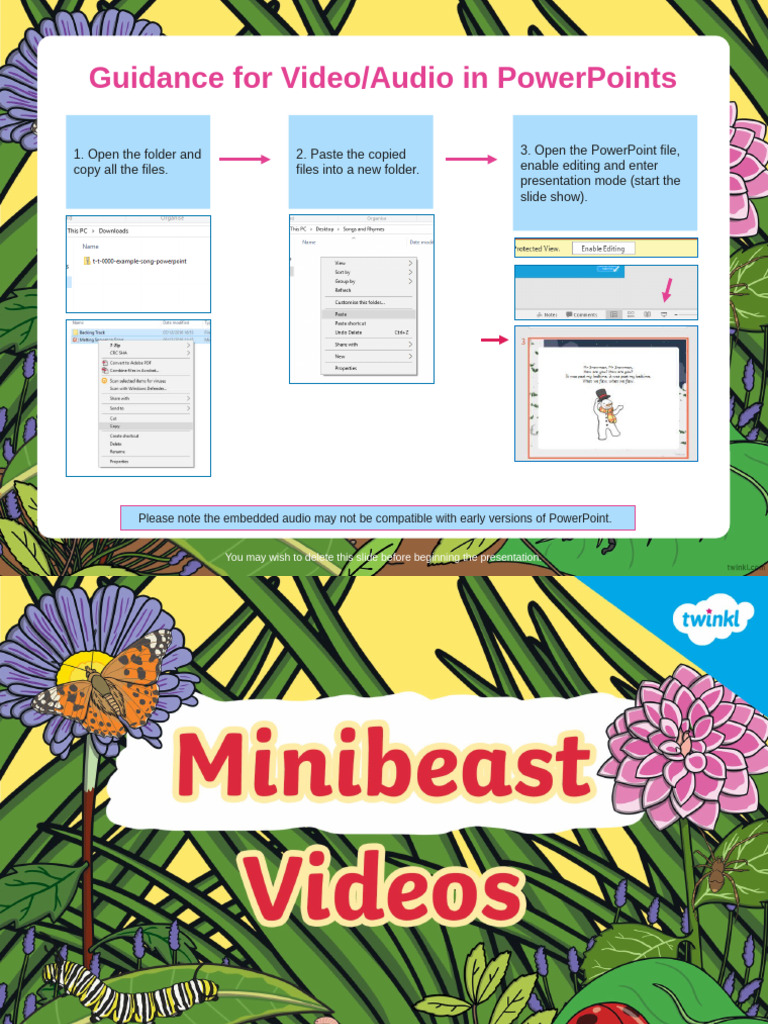 T T 5144 Minibeasts Videos Powerpoint | PDF