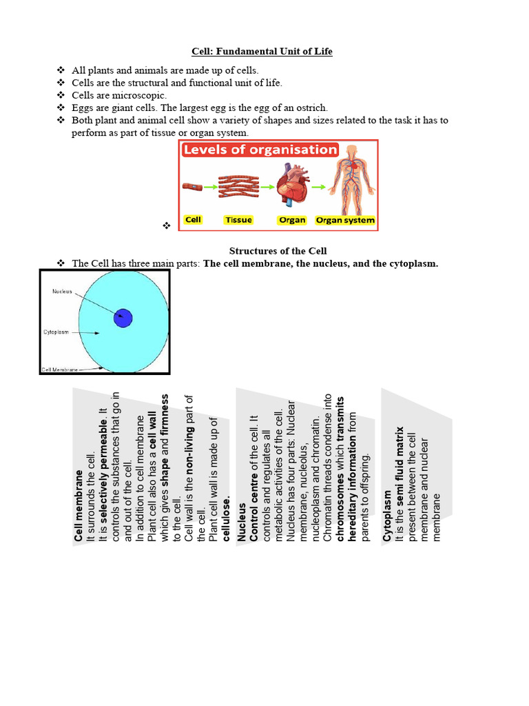cell ppt | PDF | Cell (Biology) | Vacuole