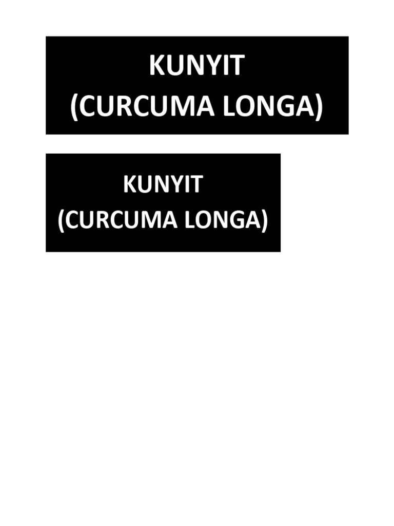 Longa | PDF