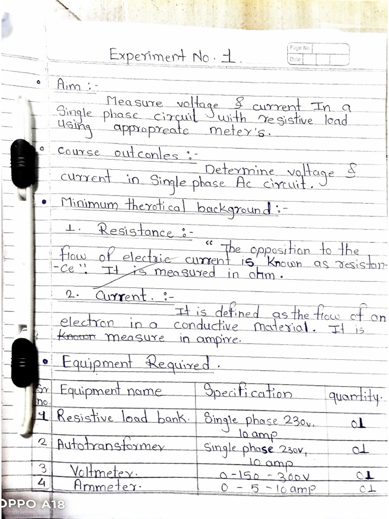 Bee Experiments PDF | PDF