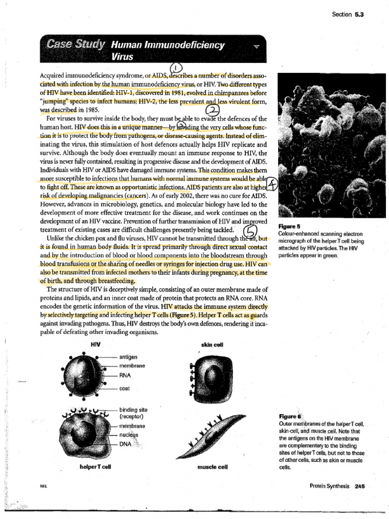 Case Study: Human Immunodeficiency Virus | PDF