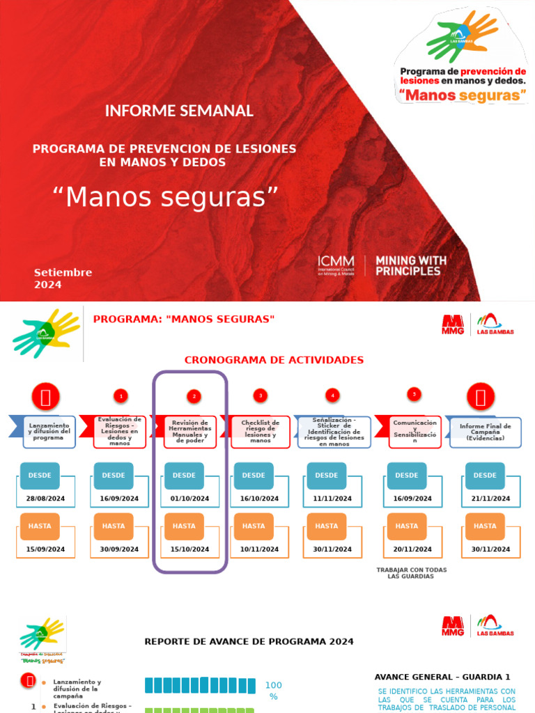 Informe semanal - Programa de prevención de lesiones de manos y dedos - Manos Seguras 2024_final ...