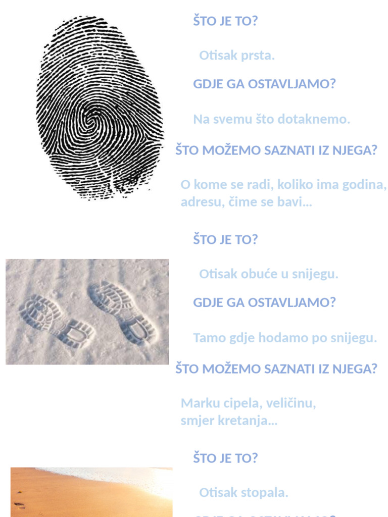 Digitalni Tragovi I Elektronicko Nasilje | PDF