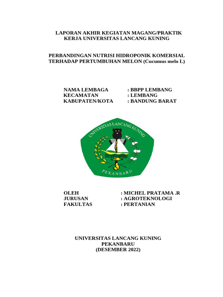 Salin1-LAPORAN MBKM MICHEL | PDF