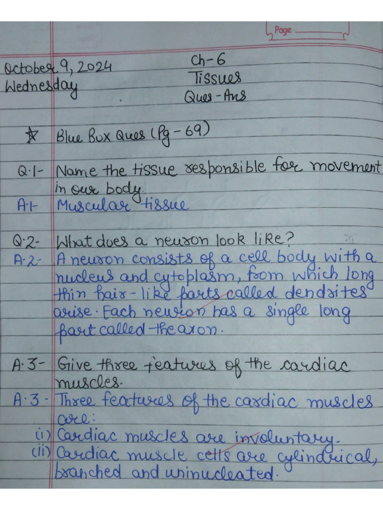 CH 6 ANIMAL TISSUES class 9 (1) | PDF