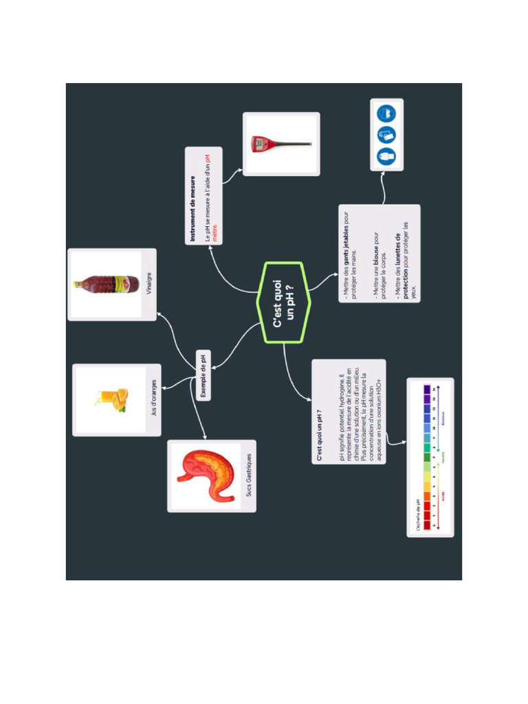 Carte mentale ROLL Rafael 3A | PDF