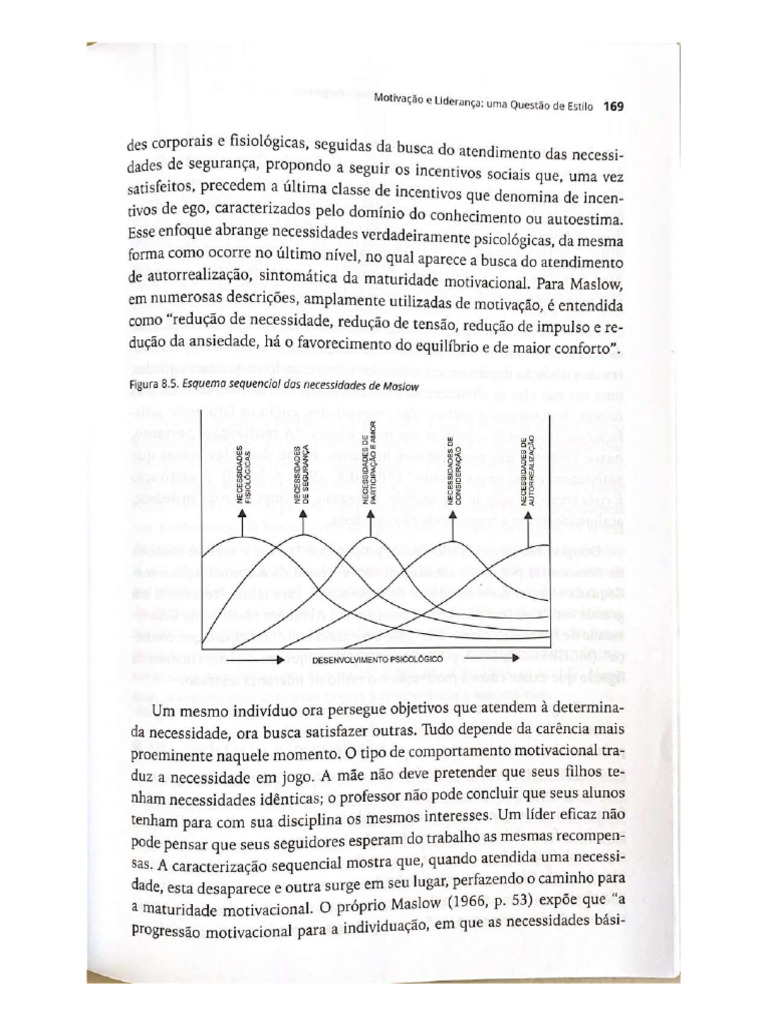 Cap. 08 - Motivação e Liderança uma Questão de Estilo II_compressed | PDF