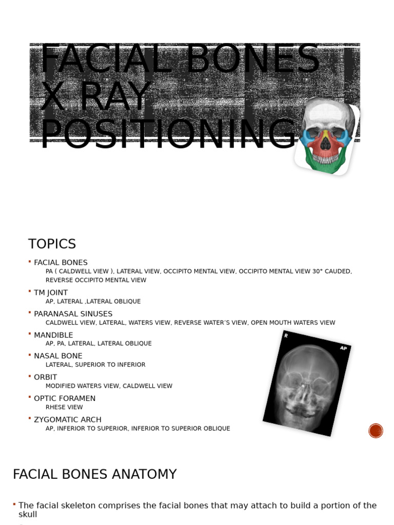 Facial Bones X-Ray Positioning Guide | PDF | Human Nose | Musculoskeletal System