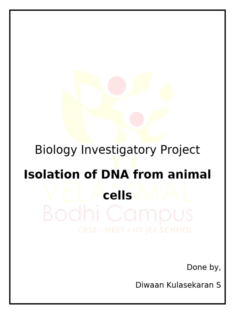 Isolation of DNA From Animal Cells | PDF | Cell (Biology) | Chemistry