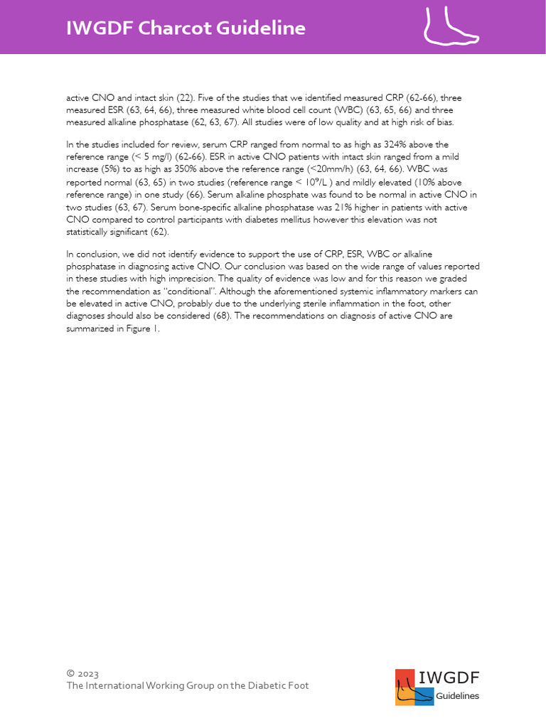 IWGDF 2023 Prevention and Management Diabetic Foot (310-348) | PDF ...