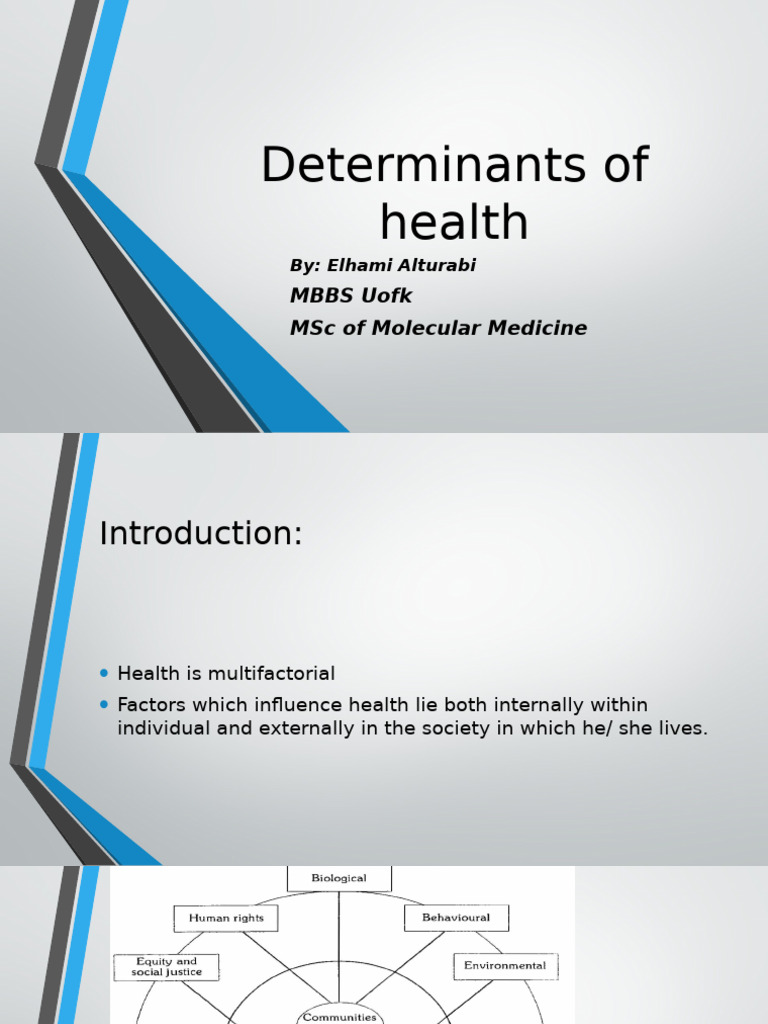 Determinants of Health | PDF