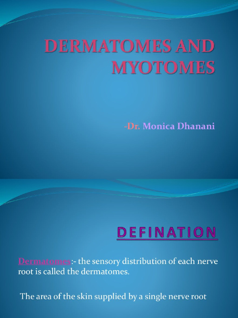 Dermatomes and Myotomes | PDF