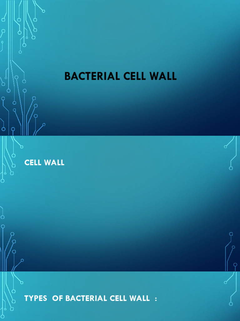 Bacterial cell wall | PDF | Gram Positive Bacteria | Cell Wall