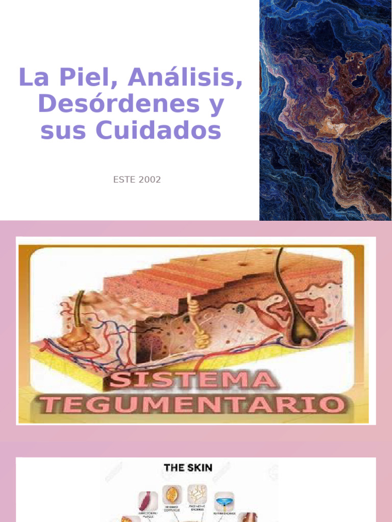 Sistema Tegumentario | PDF | Sistema tegumentario | Piel