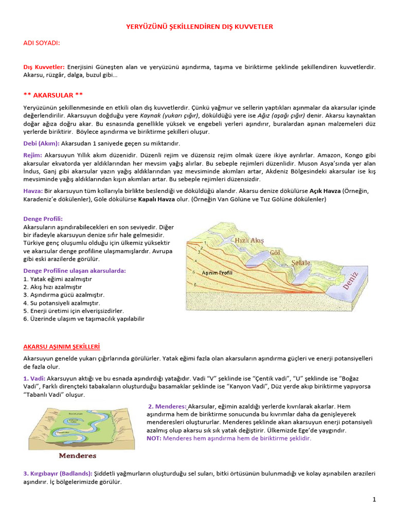 Dis Kuv. Ozet | PDF Dis Kuv. Ozet | PDF