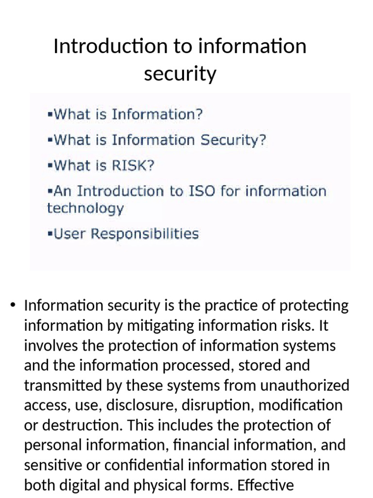 Intro to Information Security Basics | PDF