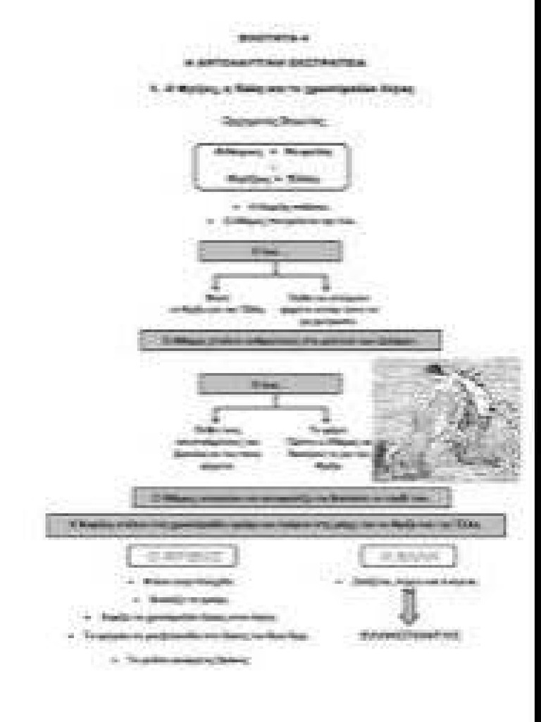 Ιστορία γ δημοτικου (ασκήσεις) | PDF