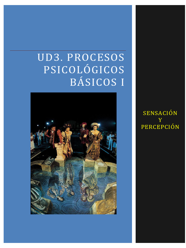 Ud 3 Sensacion y Percepciónn | PDF | Percepción | Sentidos