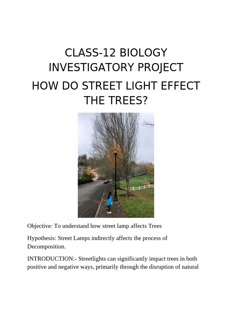 Biology Project CLASS 12 BOARDS SSCE FINALLL | PDF | Decomposition ...